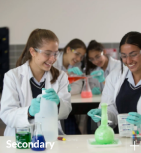 Welcome 2022 | Sirius College